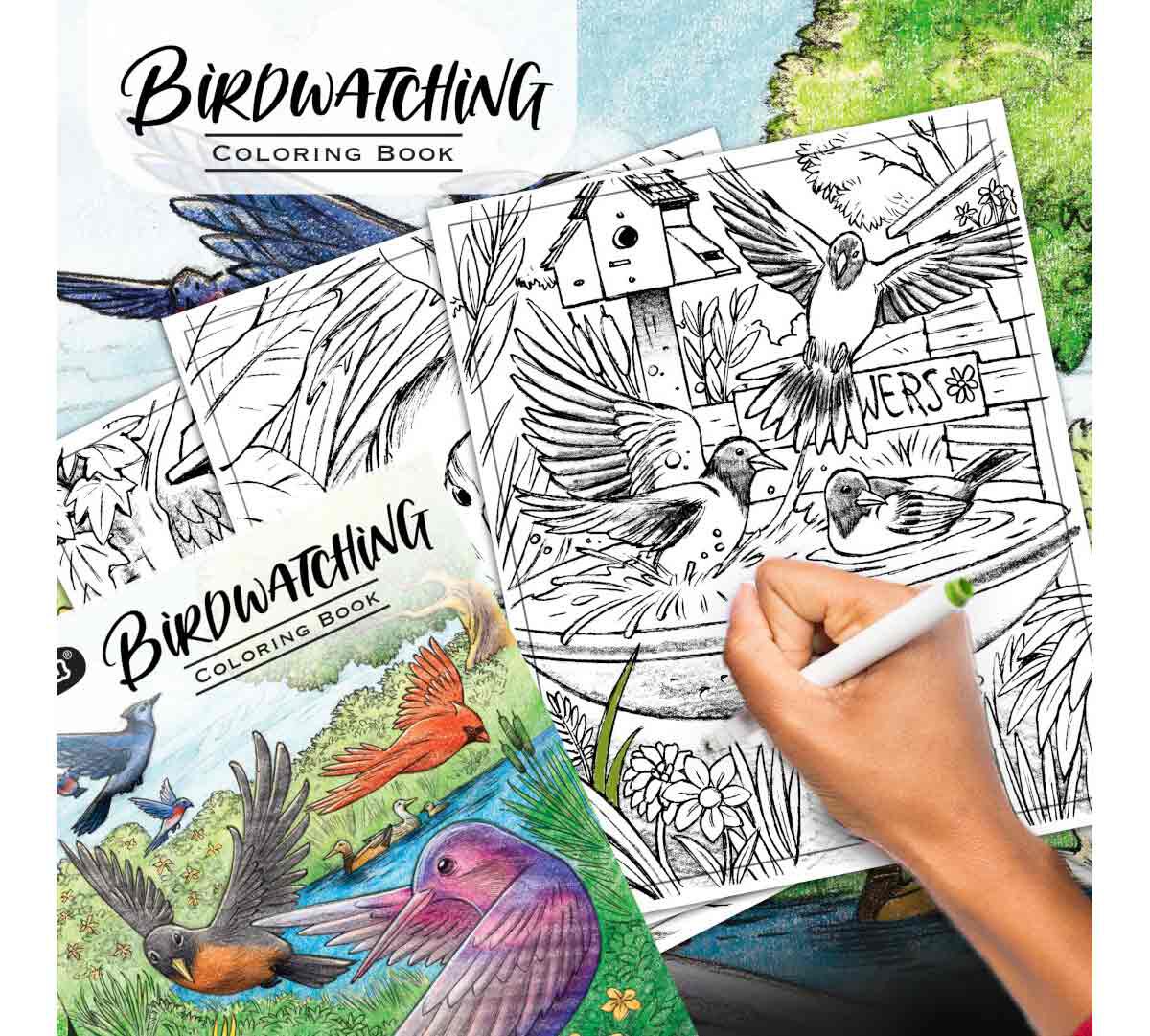 coloring book bird pages