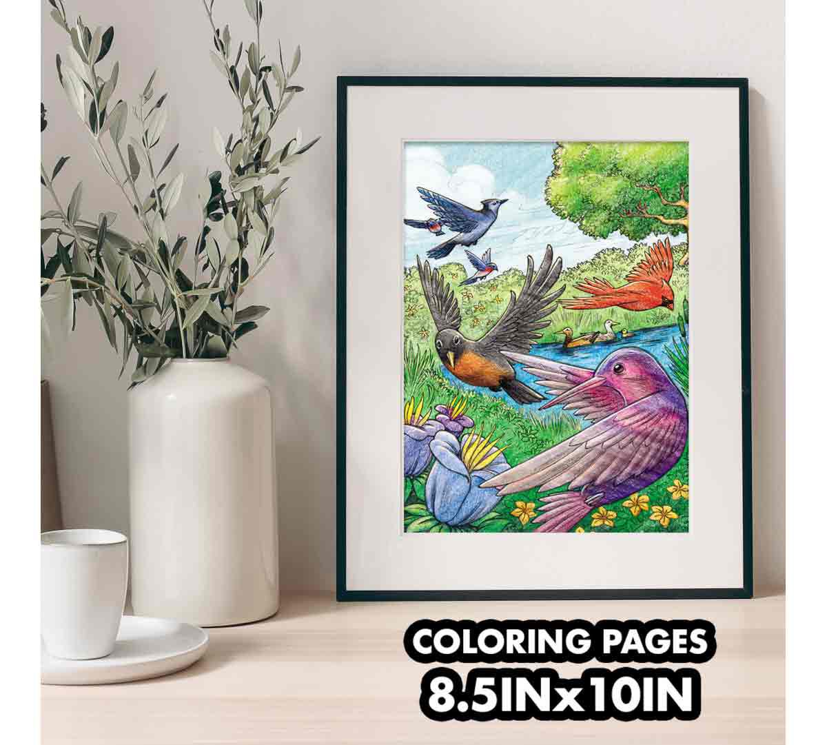 coloring book bird pages
